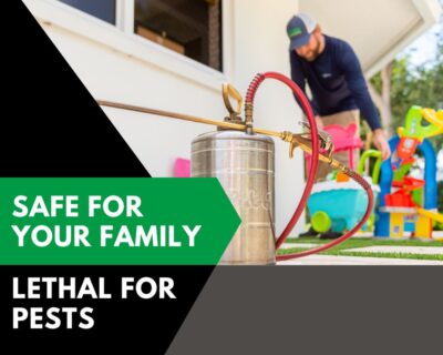 Maximum Pest & Fertilization - Complete pest control for your home ...